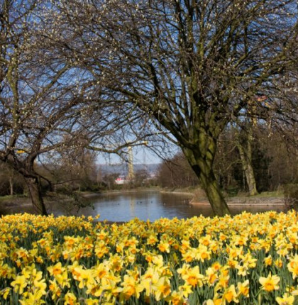 Victoria Park - Belfast - citytrip en reisinfo - Take-A-Trip